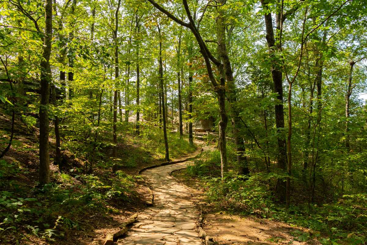 The Benefits of Hiking Meditation: A Path to Mindfulness and Wellness ...