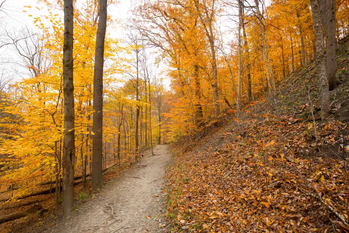 The Best Hiking Trails for Fall Foliage - Urbaki Outdoor