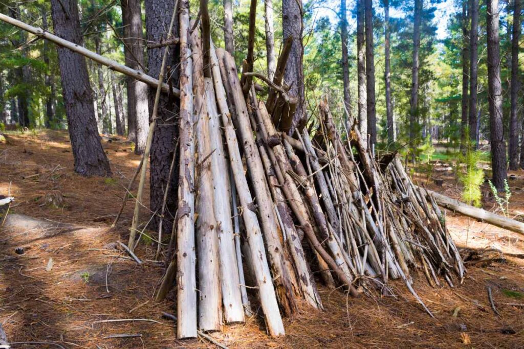 The Essentials of Building a Natural Shelter - Urbaki Outdoor