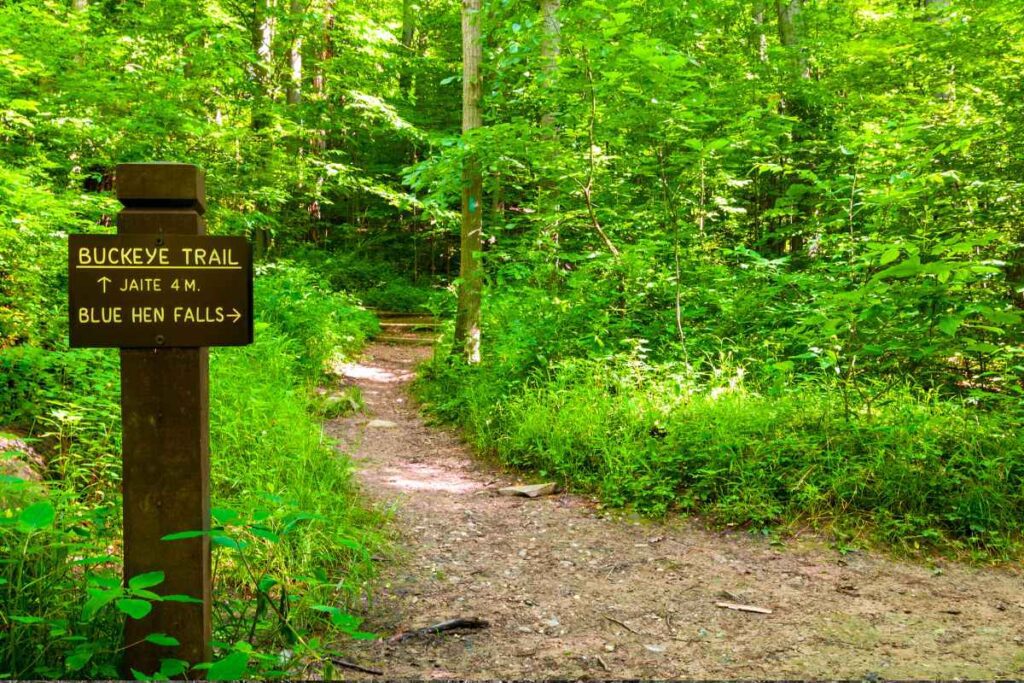 Understanding Trail Markers and Signage: How to Stay on the Right Path ...