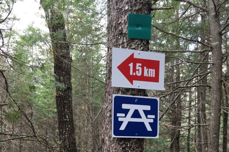 Understanding Trail Markers and Signage: How to Stay on the Right Path ...