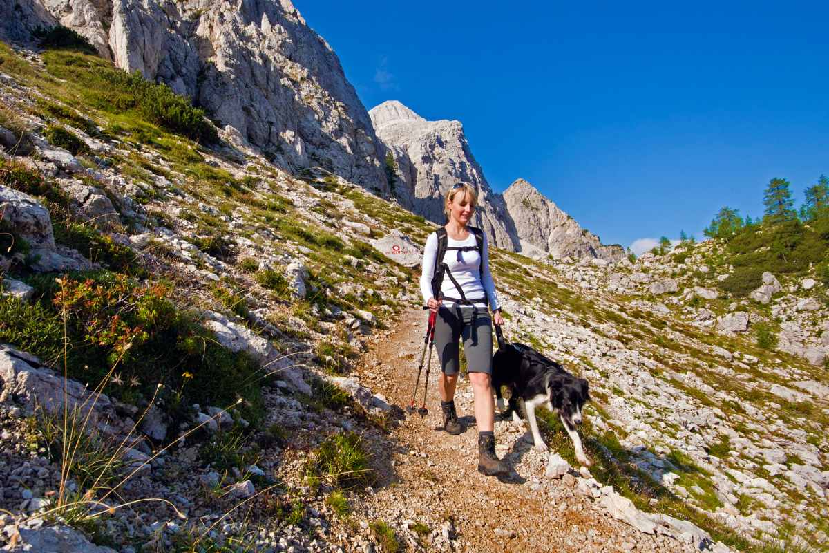 How to Hike with Pets: Safety Tips and Essential Gear - Urbaki Outdoor