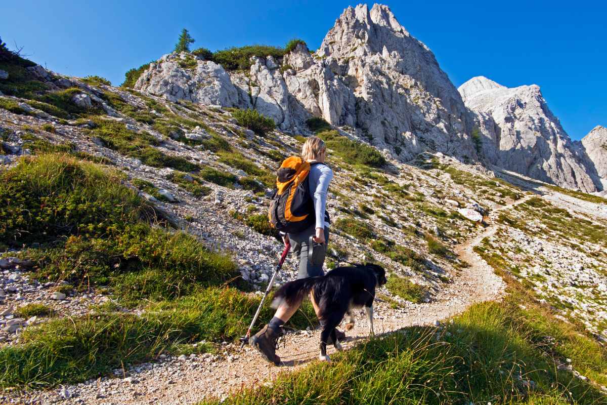 How to Hike with Pets: Safety Tips and Essential Gear - Urbaki Outdoor