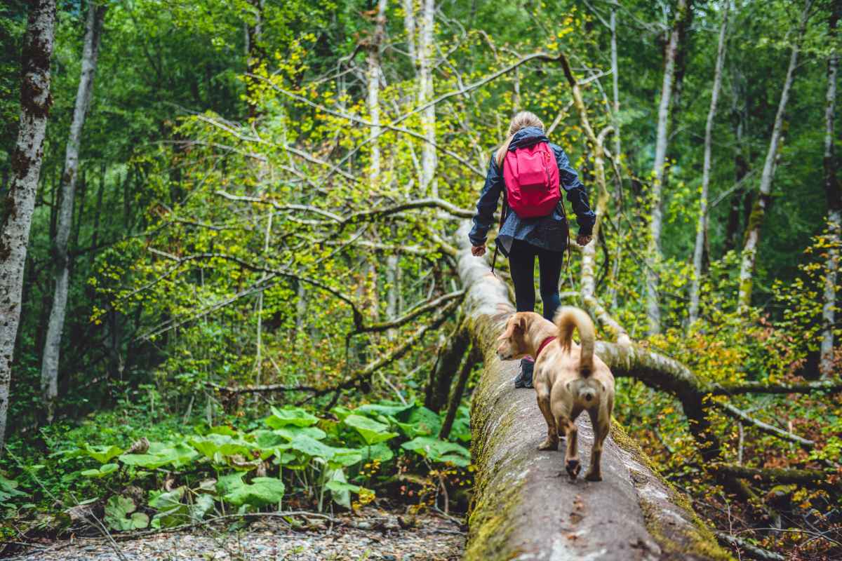 How to Make the Most of a Day Hike: Tips for Every Hiker - Urbaki Outdoor