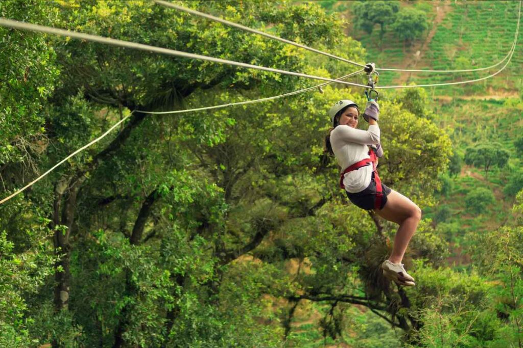 Backyard Zipline Adventure: Safe and Fun for Kids - Urbaki Outdoor