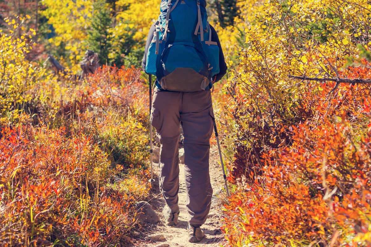 Best Hiking Pants For Women: Trail-Tested Guide - Urbaki Outdoor