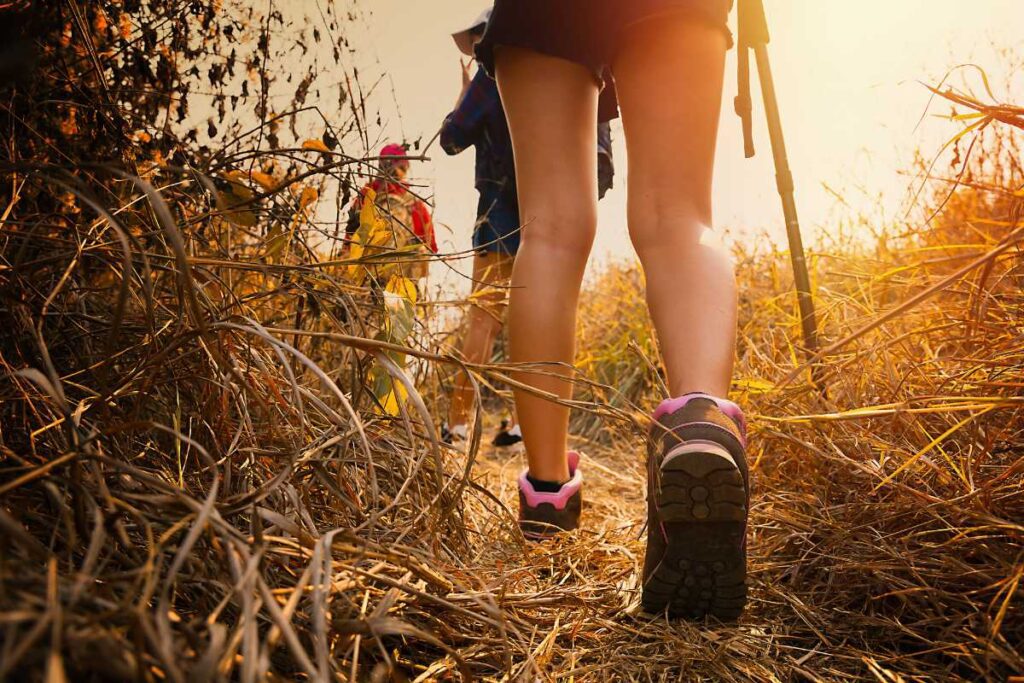 Get Back in Hiking Shape Fast: 6-Step Plan - Urbaki Outdoor