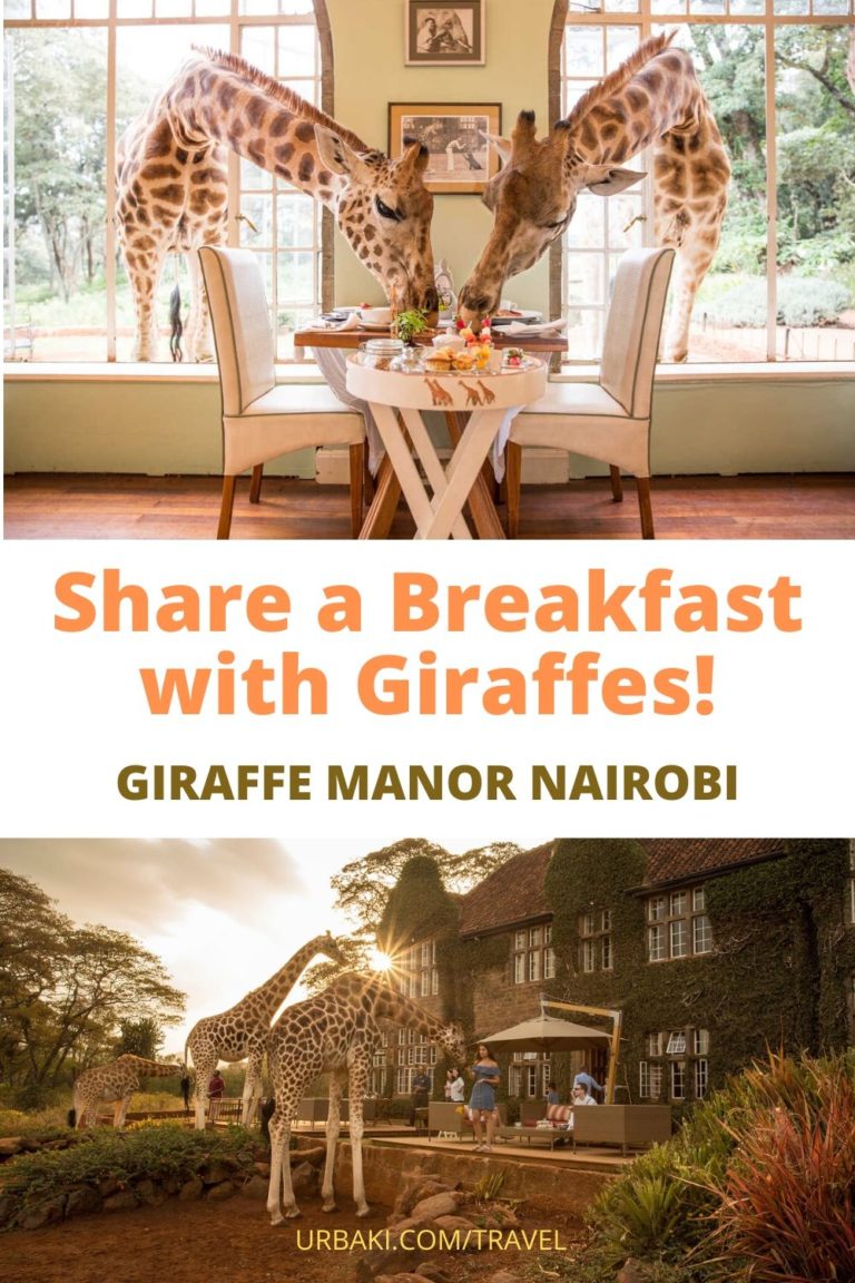 Giraffe Manor Nairobi, Share a Breakfast with Giraffes!
