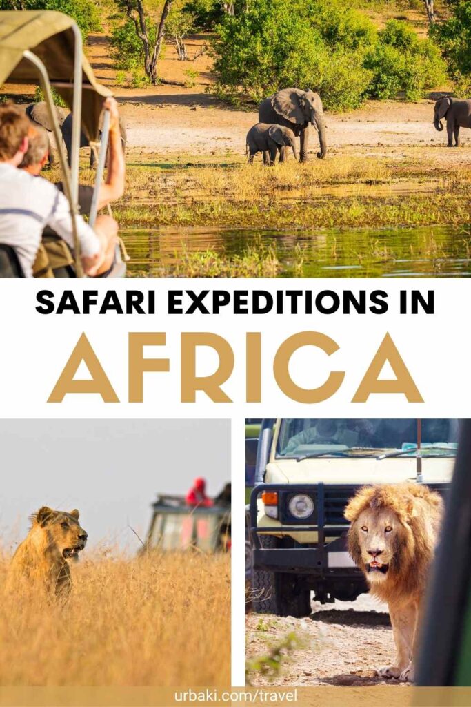 Safari expeditions in Africa