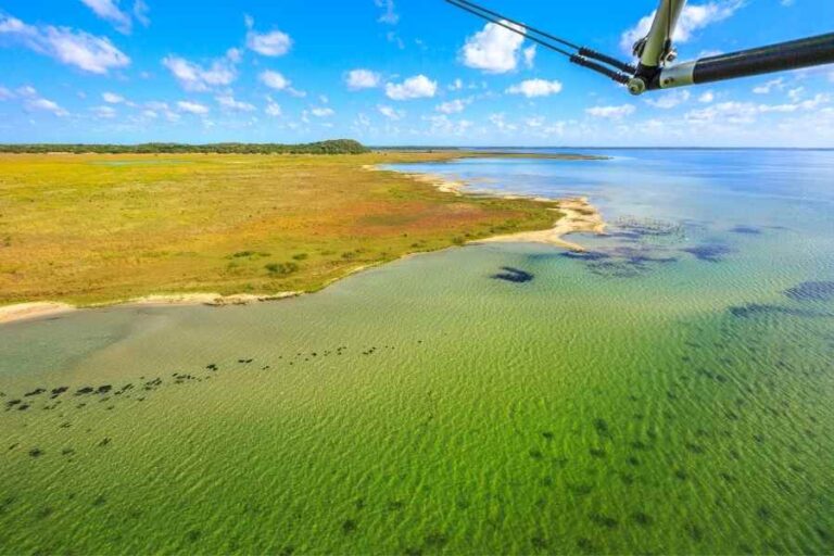 Sodwana Bay, South Africa: The Complete Guide