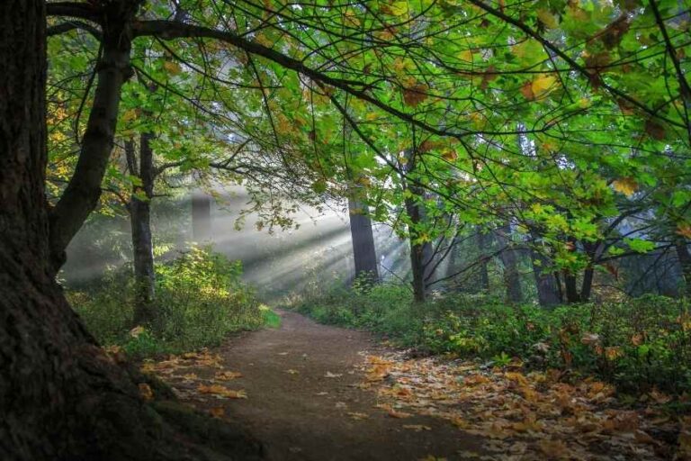 The Best Running Routes Worth Traveling On