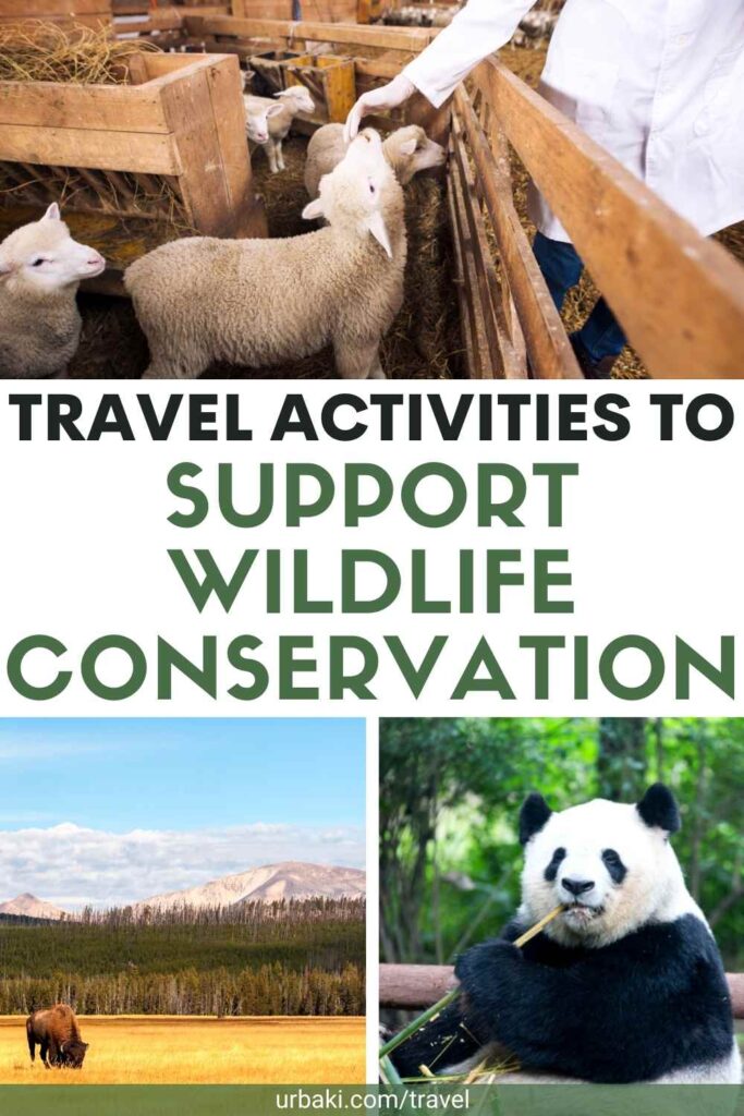 Travel Activities to Support Wildlife Conservation