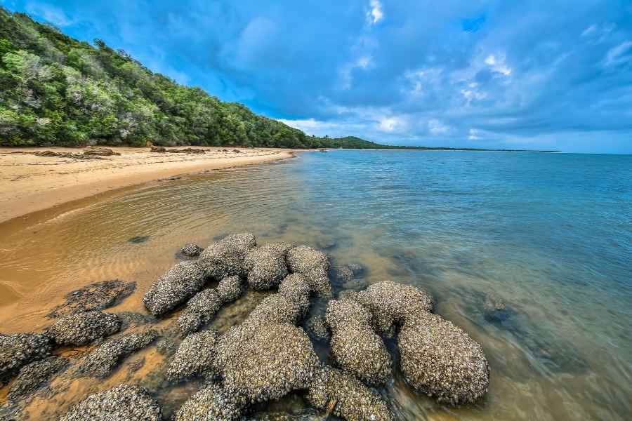 The Top 5 Beaches in Mozambique