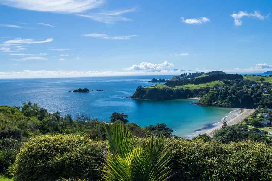 Waiheke Island: The Complete Guide