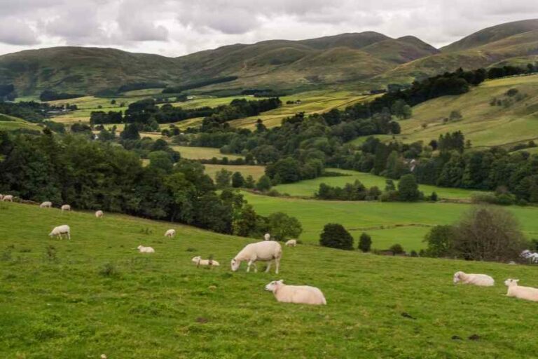 Discover The Amazing Tweed Valley