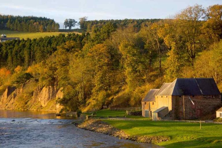 Discover The Amazing Tweed Valley