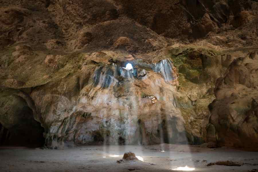 The Top 5 Things to Do in Aruba