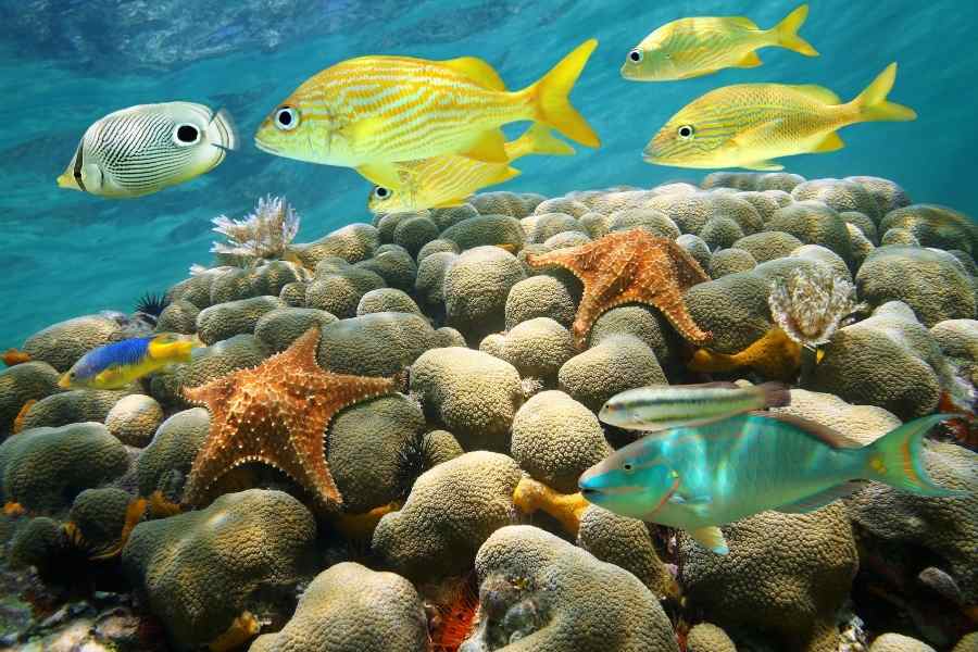The Top 5 Things to Do in Aruba (Part 2)