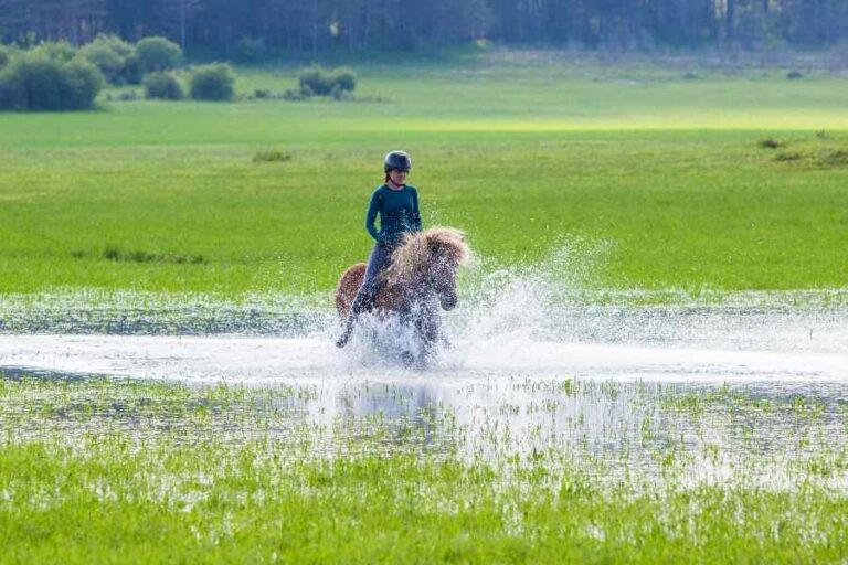 5 Amazing Locations For Horseback Riding Adventures
