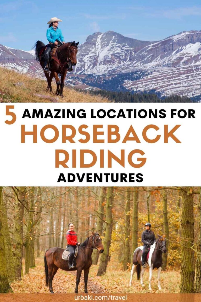 5 Amazing Locations For Horseback Riding Adventures