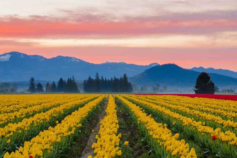 World’s Most Colorful Places