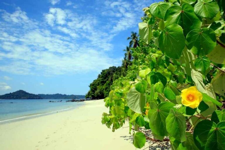 The 3 Most Popular Islands in Panama
