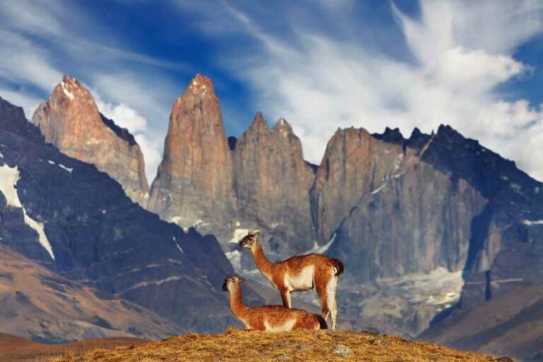 The Complete Guide to Chilean Patagonia