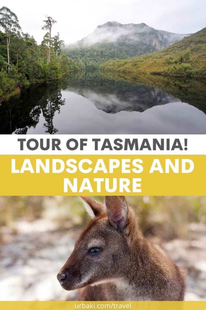 Tour of Tasmania! Landscapes and Nature