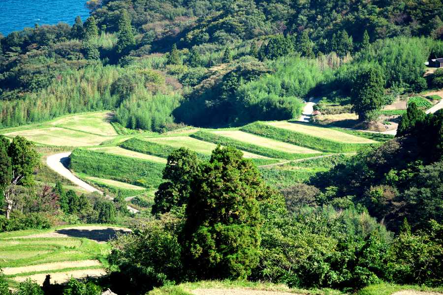 Discover the Authentic and Cultural Side of Japan: Exploring Sado Island