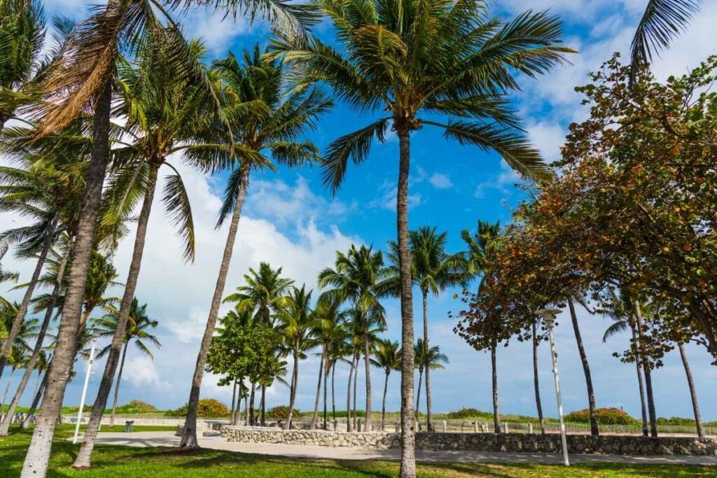 7 Best Beaches in Miami Beach You Can’t Miss